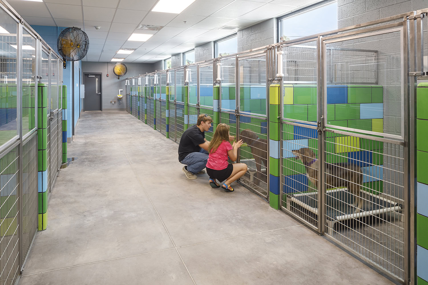 Silling Architects » A Local Community has Embraced their New Animal ...