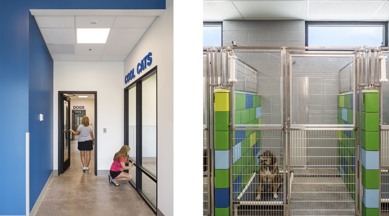 Silling Architects » Jackson County Animal Shelter